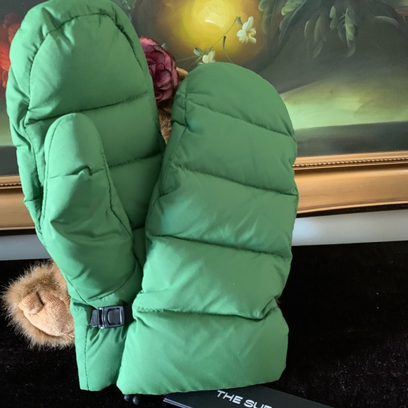 Aritzia | Accessories | Nwt Aritzia The Super Puff Goose Down Puffer ...